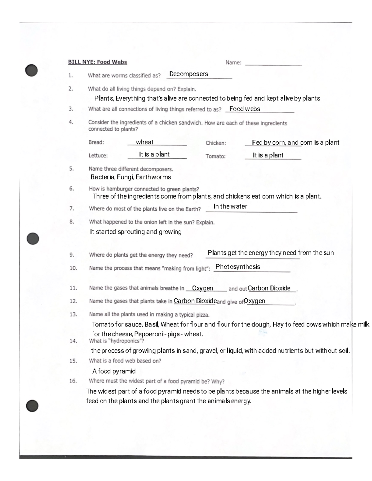 Tristan Pasion - Bill Nye Food Webs - EESA06 - Studocu