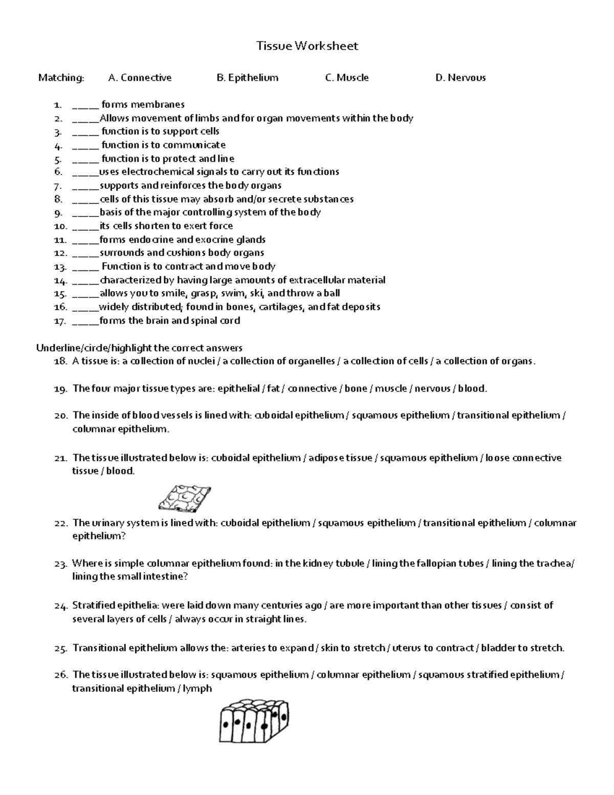 Tissue-Worksheet - aaaa - Tissue Worksheet Matching: A. Connective B ...