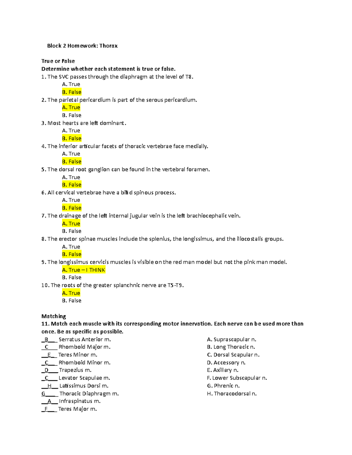 2022 Anatomy Block 2 Lab HW - Block 2 Homework: Thorax True or False ...
