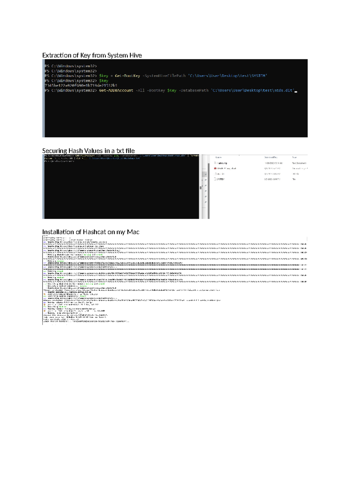 A1 ITC516 - sample - ITC516 - Extraction of Key from System Hive Securing Hash Values in a txt ...
