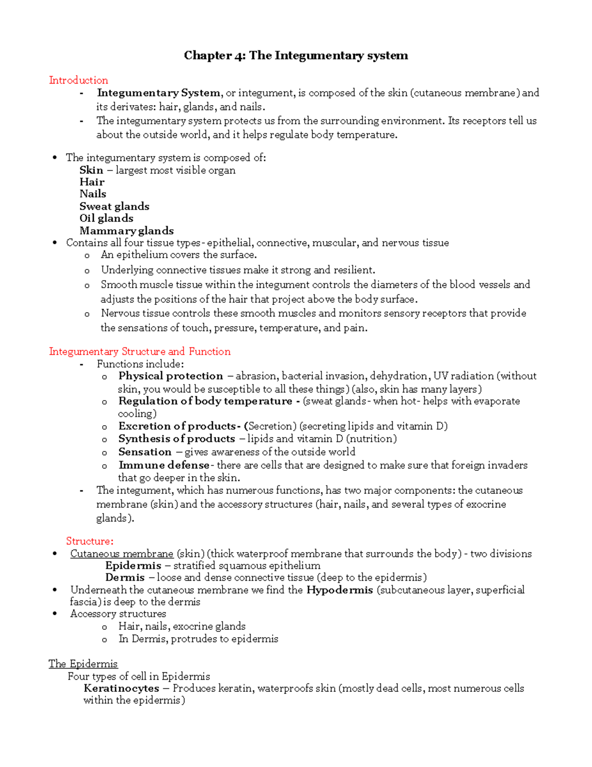 Chapter 4 Notes - Chapter 4: The Integumentary system Introduction ...