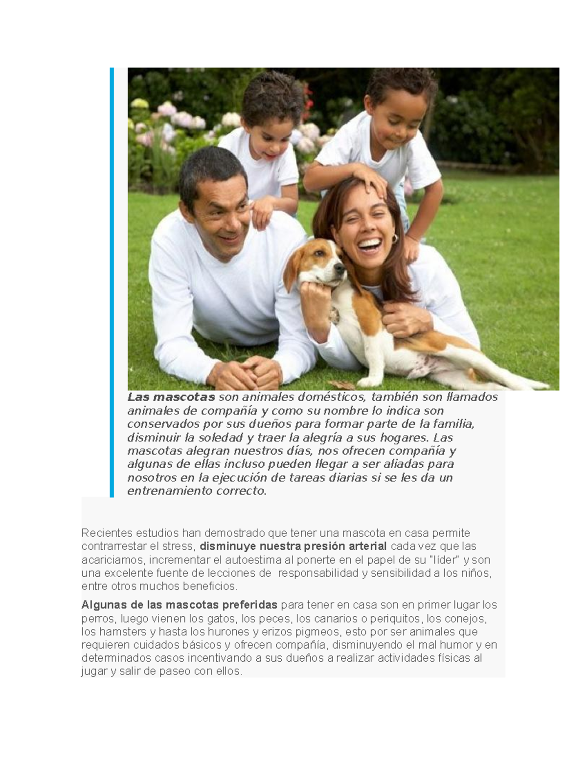 Las mascotas - APUNTES - Las mascotas son animales domésticos, también ...