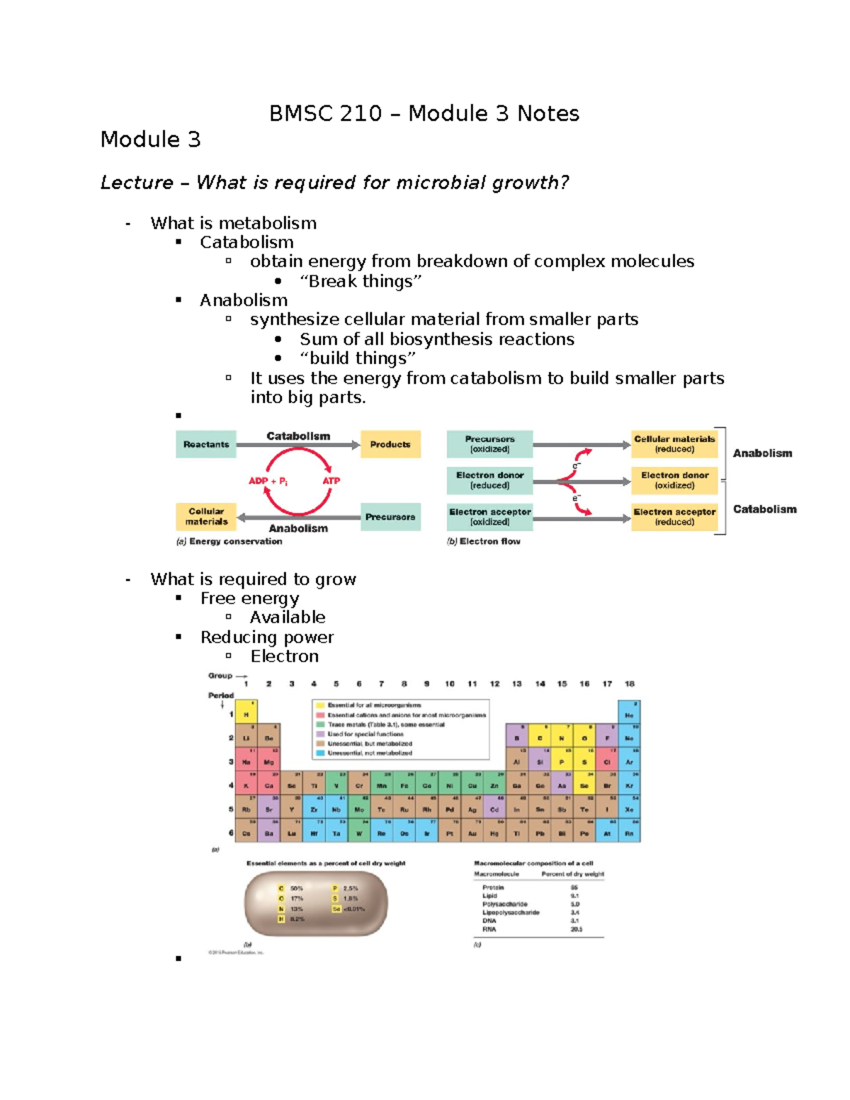 Module 3 - Notes - BMSC 210 – Module 3 Notes Module 3 Lecture – What is ...