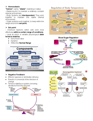 Anaphy - LAB - Module 1 – Organization of the Body Anatomical terms ...