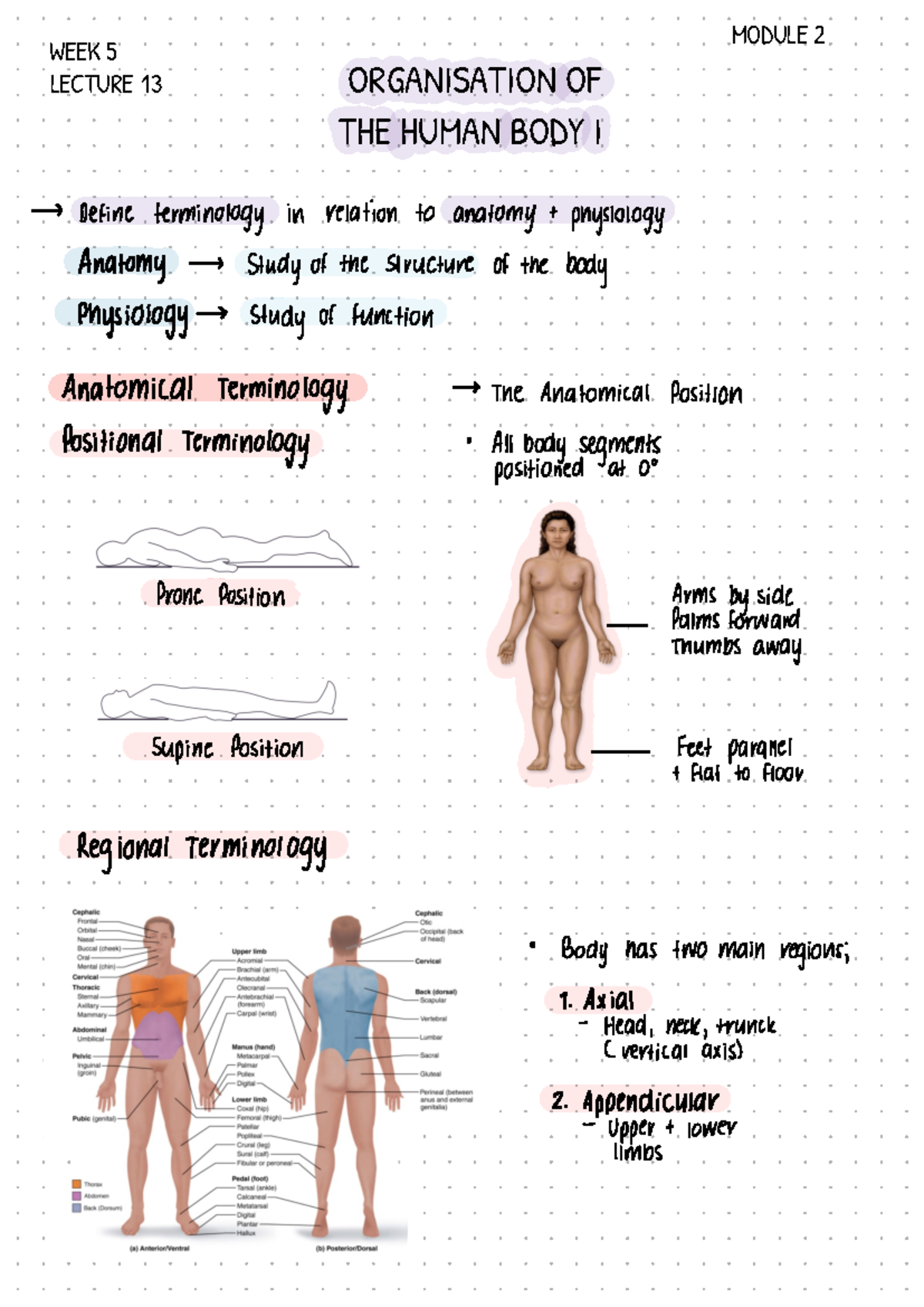 Modules 2 - 5 Notes - WEEK 5 LECTURE 13 MODULE 2 ORGANISATION OF THE ...