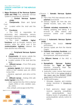 Physio Psych Notes From Anatomy of the Nervous System to Synapse ...
