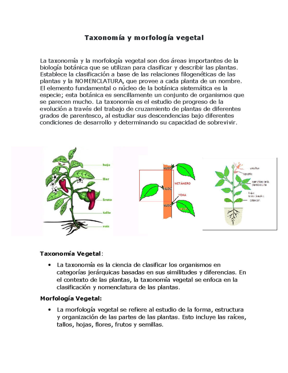 Aporte Botanica - Taxonomía y morfología vegetal La taxonomía y la ...