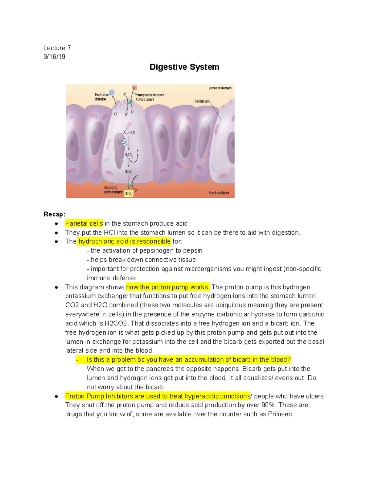 Physio 9 16 Digestive System - Lecture 7 9/16/ Digestive System Recap ...