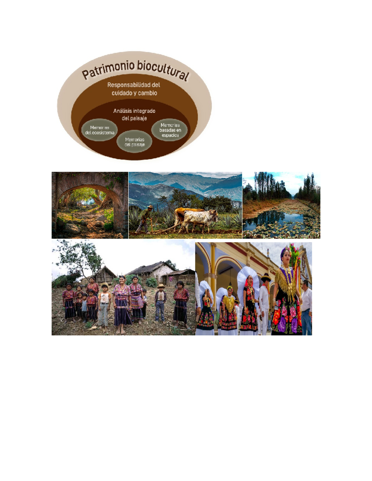 Bioculturalidad - Etnias Contemporáneas en América Latina (Ss. XIX Y XX ...