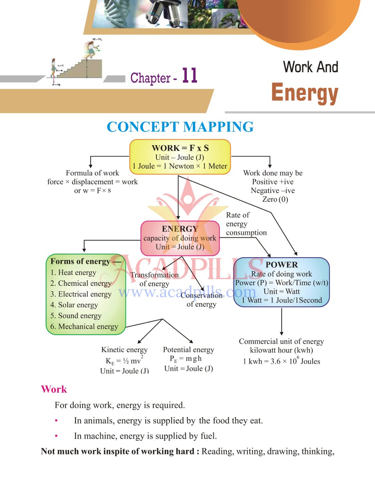 Work and energy notes with important questions - KE PE, Work And ...