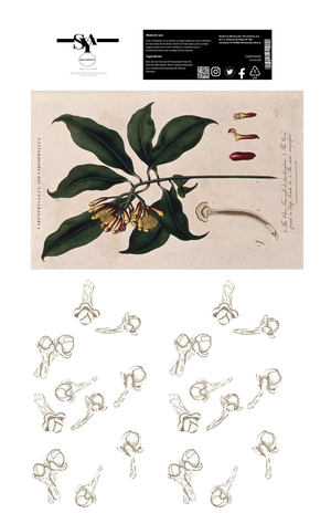 13 directrices SSPA actualizacion 2023 - SSPA 13 DIRECTRICES DE CERO ...