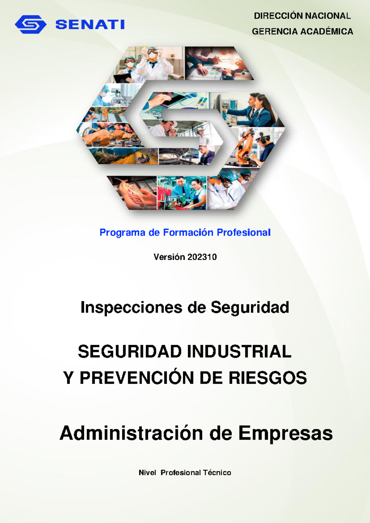 NSID-310 Contenido - info - Programa de Formación Profesional Versión ...
