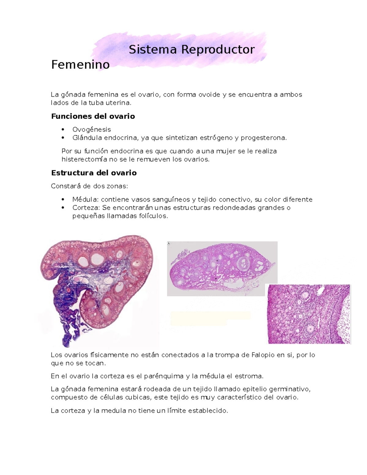 Sistema Reproductor Femenin 1 - Sistema Reproductor Femenino La gónada ...