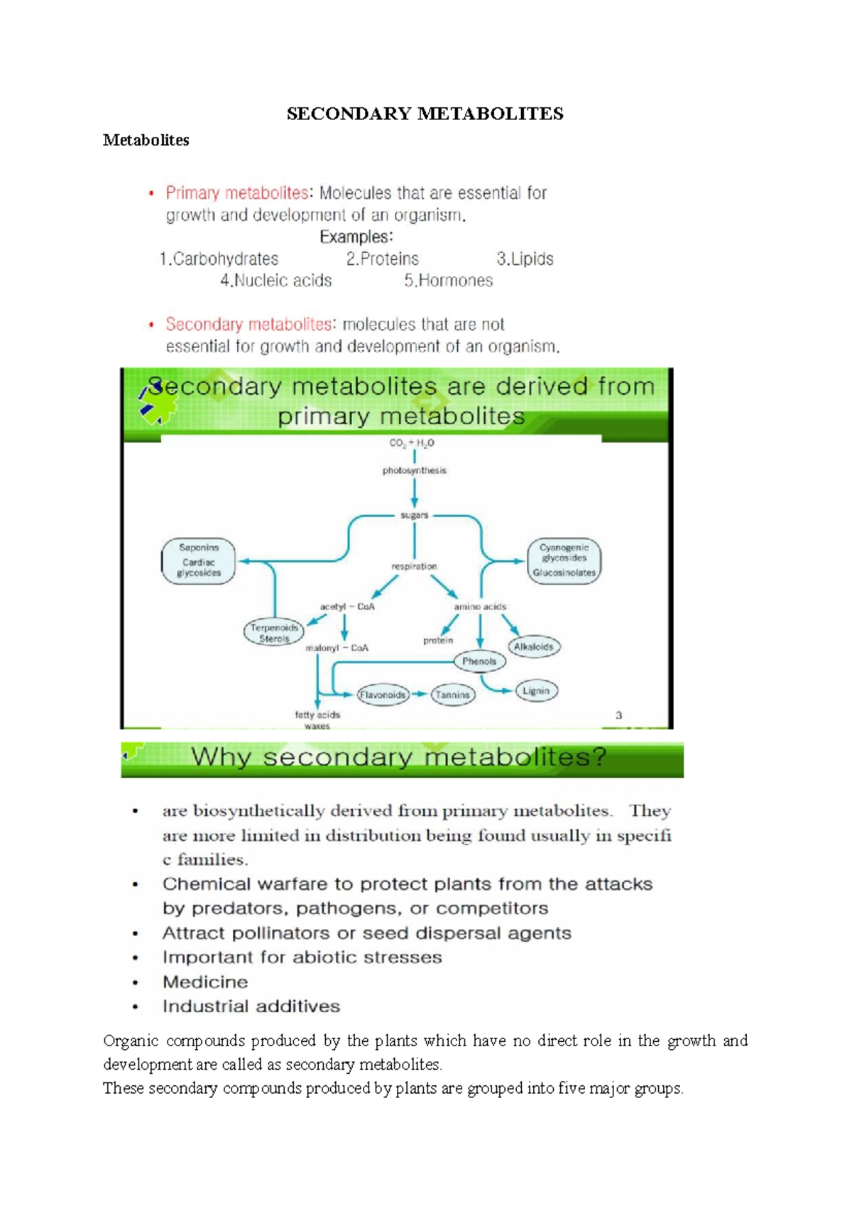 Unit - 8 Secondary Metabolites - Metabolites SECONDARY METABOLITES ...