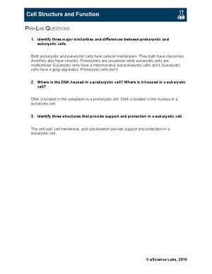 Lab 4 Questions - lab answers - Lab 4: How Enzymes Function Pre-Lab ...