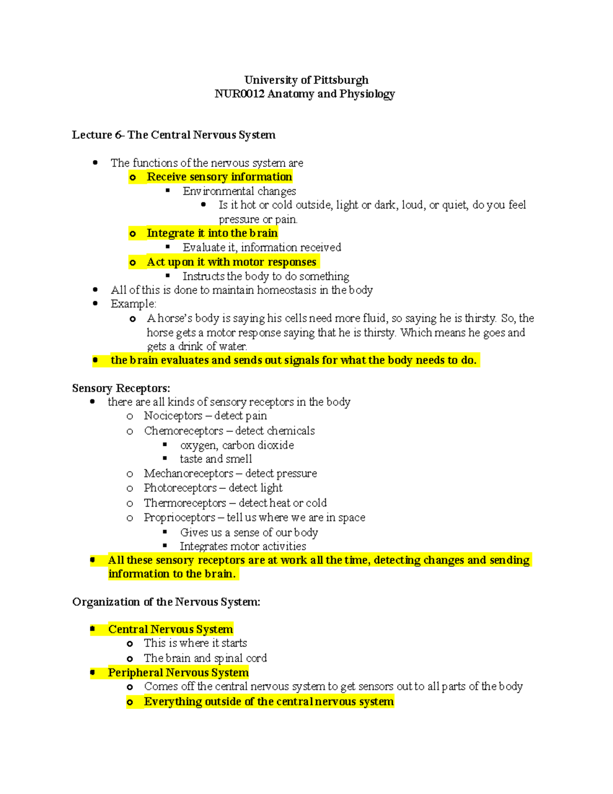 Lecture 6 - The Central Nervous System - University of Pittsburgh ...