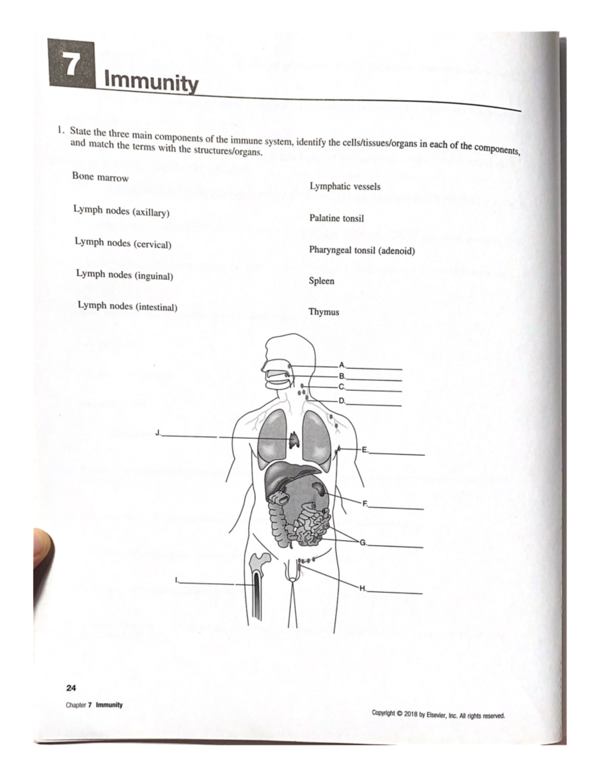 Immunity questions - NURS1420P - Studocu