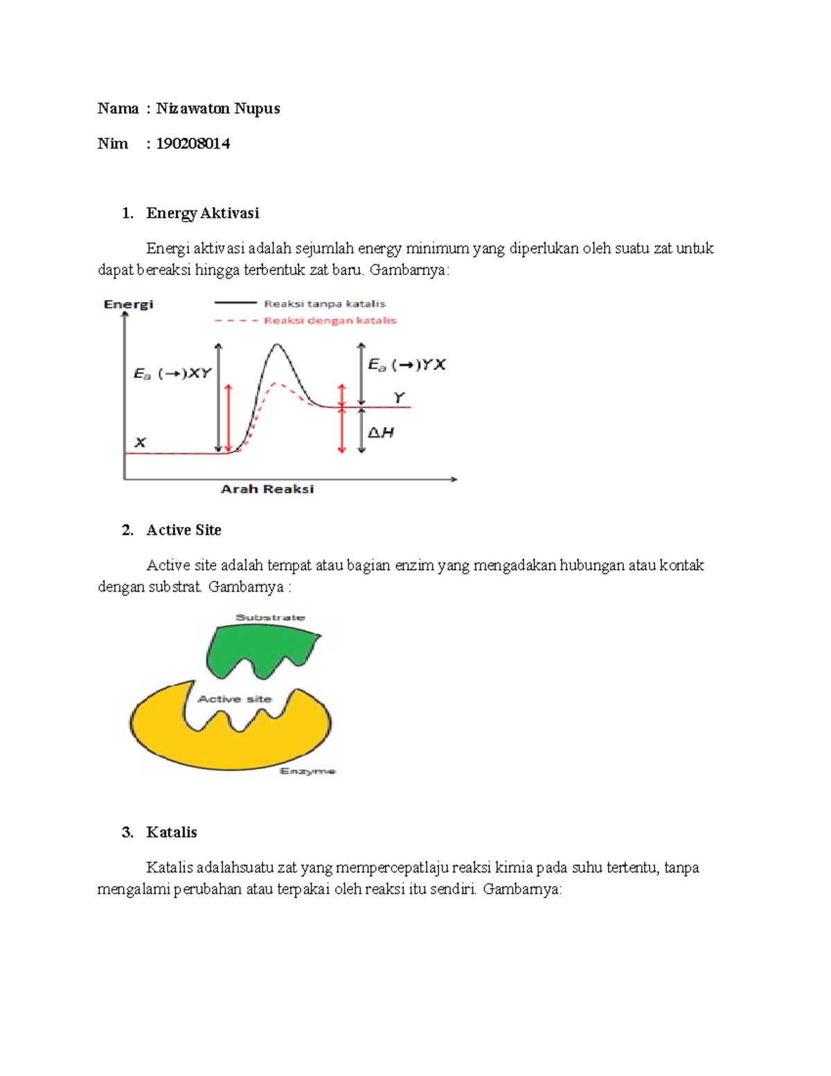 Tugas 3 biokimia - Nama : Nizawaton Nupus Nim : 190208014 Energy ...