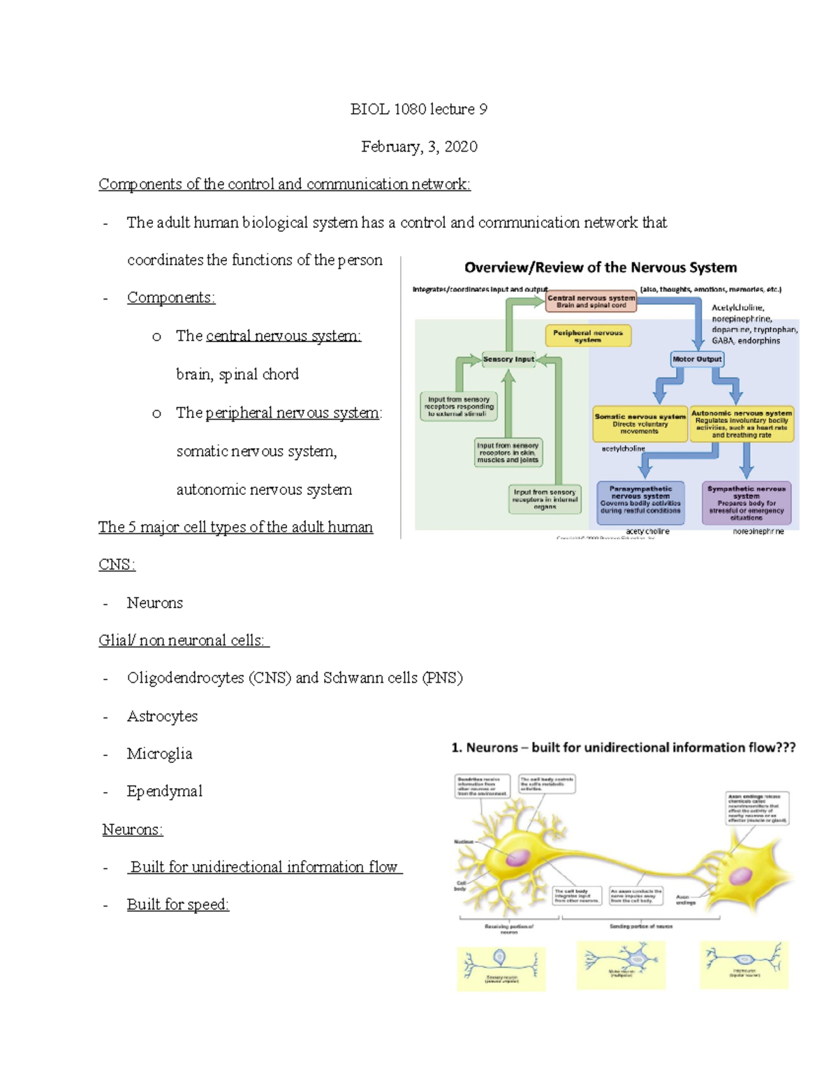 BIOL 1080 lecture 9 - BIOL 1080 lecture 9 February, 3, 2020 Components ...