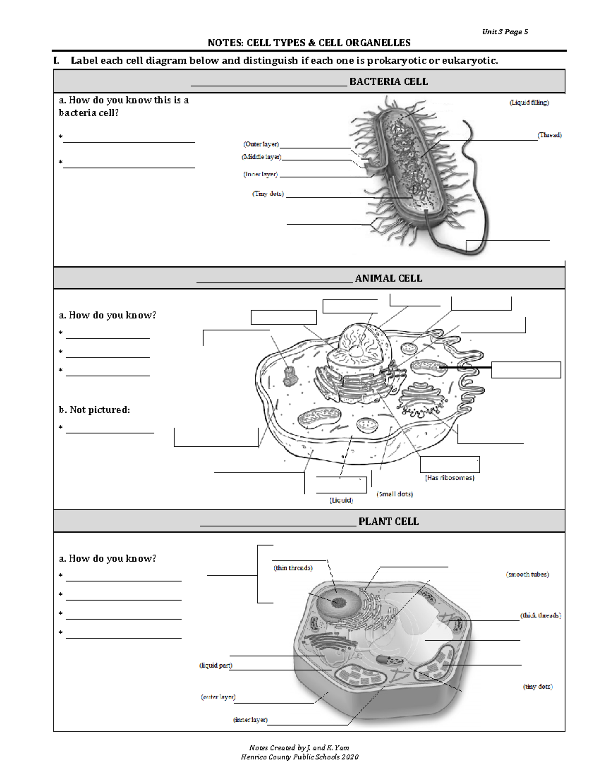 Unit 3 Notes Cell Types-Organelles 2020 SC - Studocu