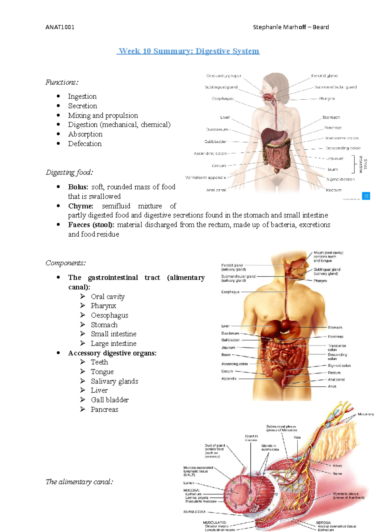 ANAT1001 Week 10 Summary - Week 10 Summary: Digestive System Functions: Ingestion Secretion ...