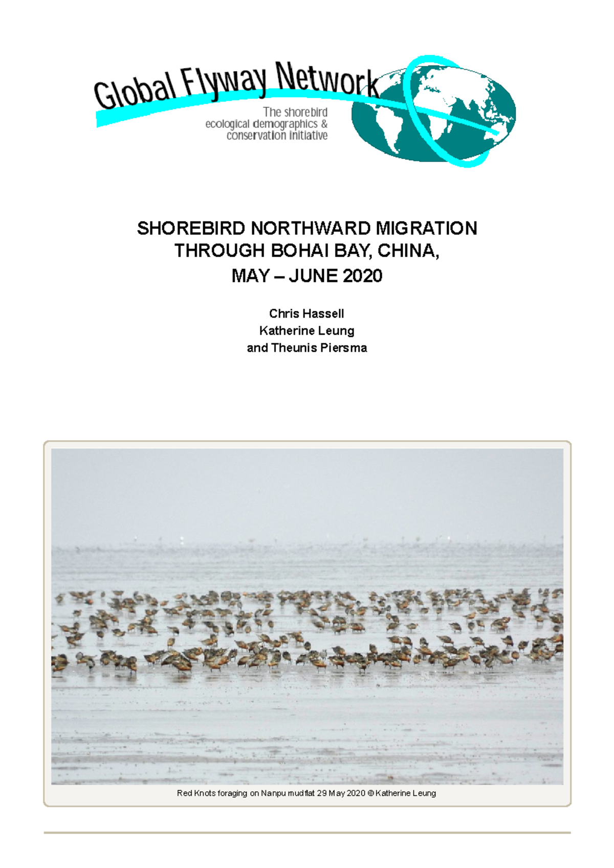 GFN Bohai Report 2020 - SHOREBIRD NORTHWARD MIGRATION THROUGH BOHAI BAY ...