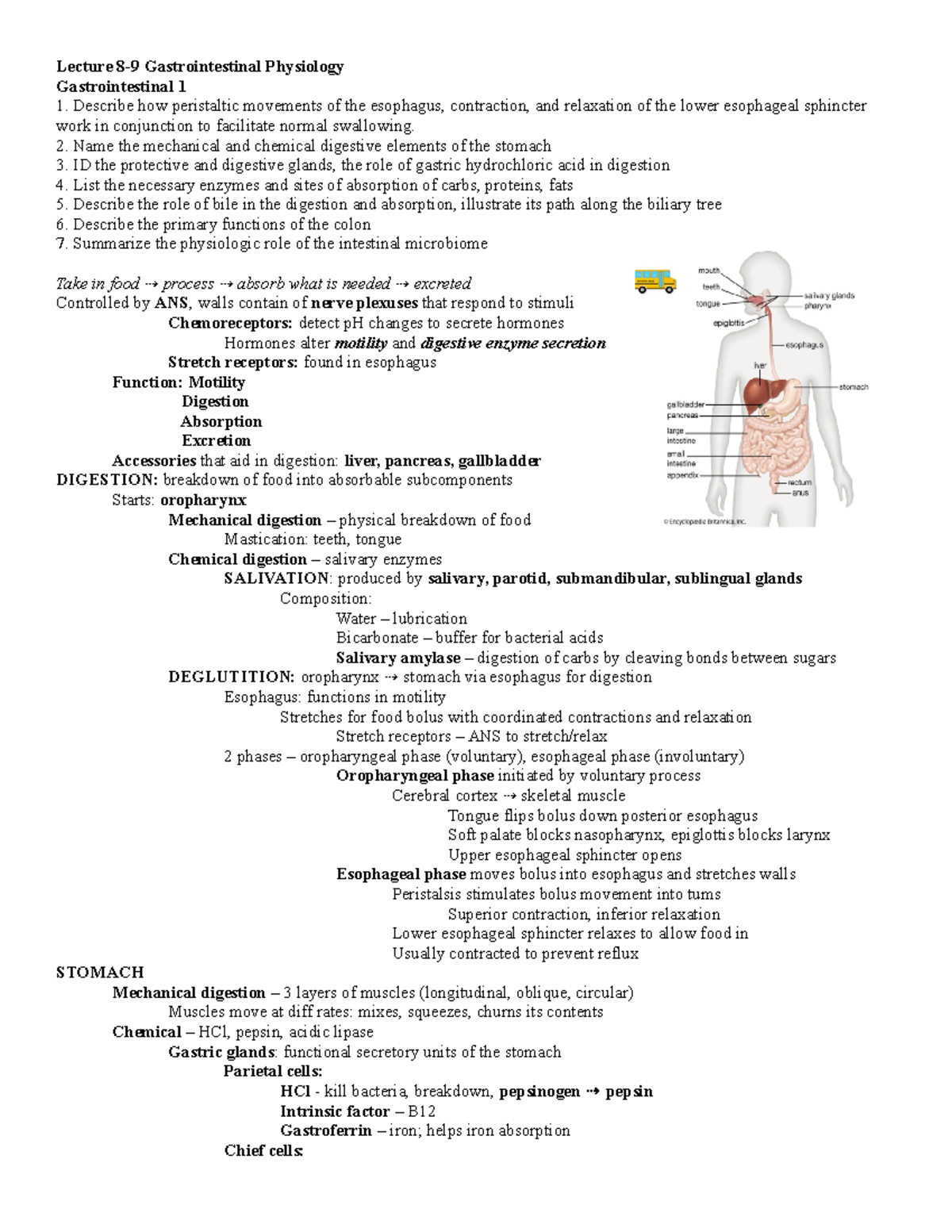 Gastrointestinal Physiology - Lecture 8-9 Gastrointestinal Physiology ...