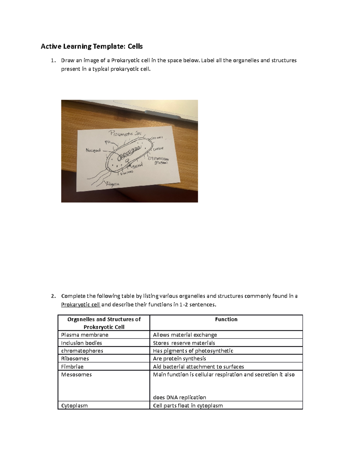Micro Bio Week 2 Assignment - Active Learning Template: Cells Draw an ...