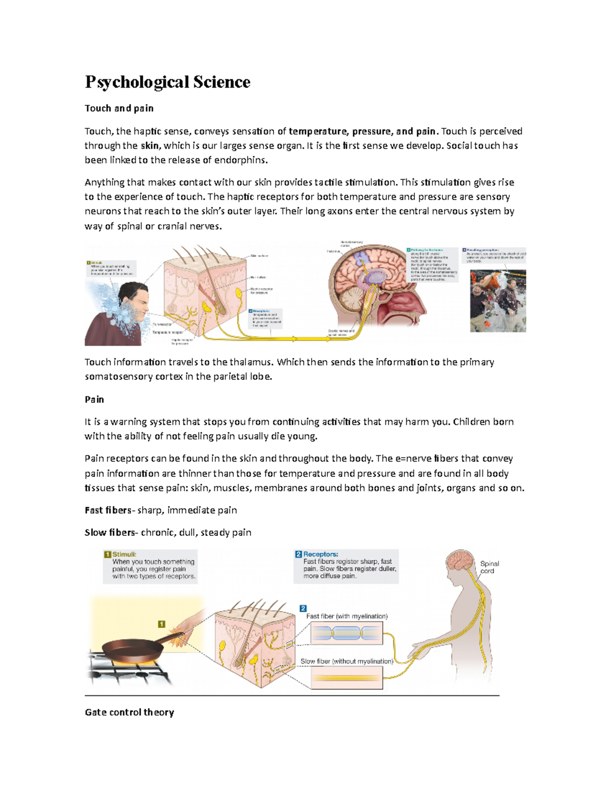 Touch and pain - The haptic sense - Psychological Science Touch and ...