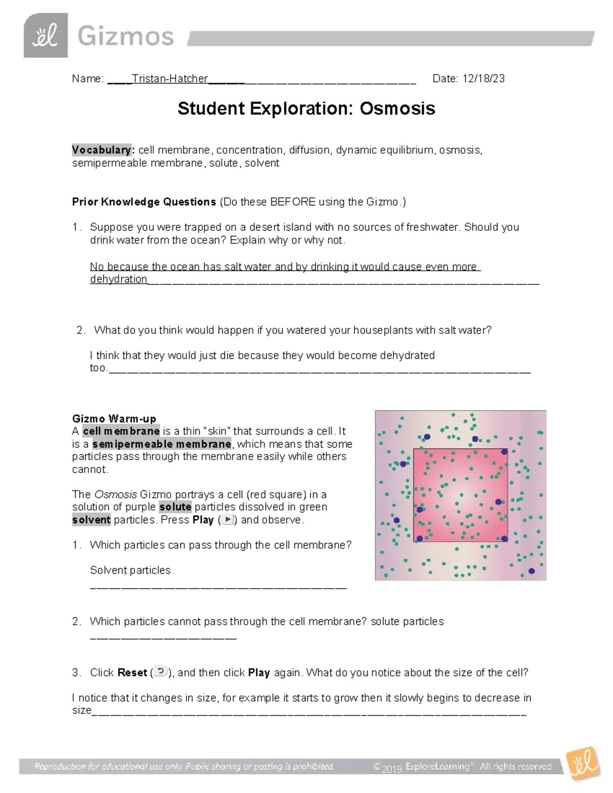 Quarter 2 Lesson 15 Assignment Gizmos Osmosis - Name: Tristan-Hatcher