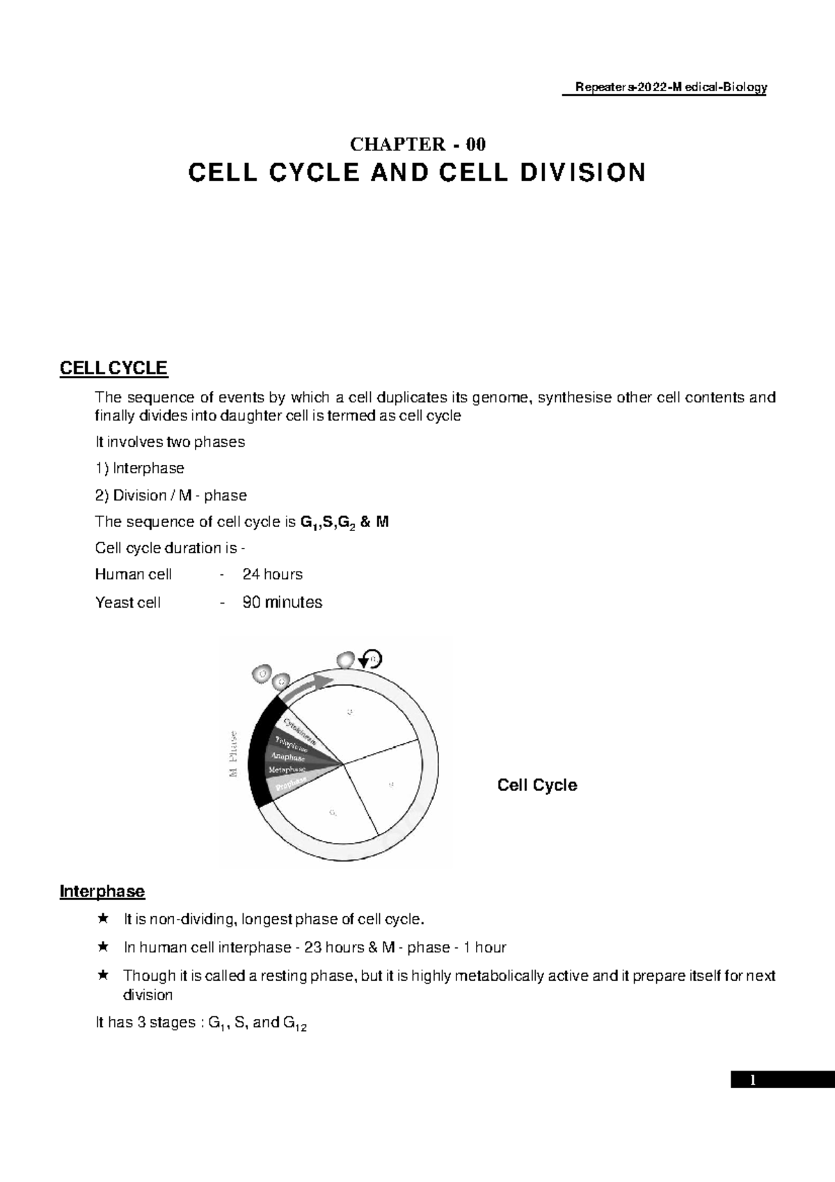 Cell cycle and cell division - R epeat er s- 20 22 -M edical-Biology ...