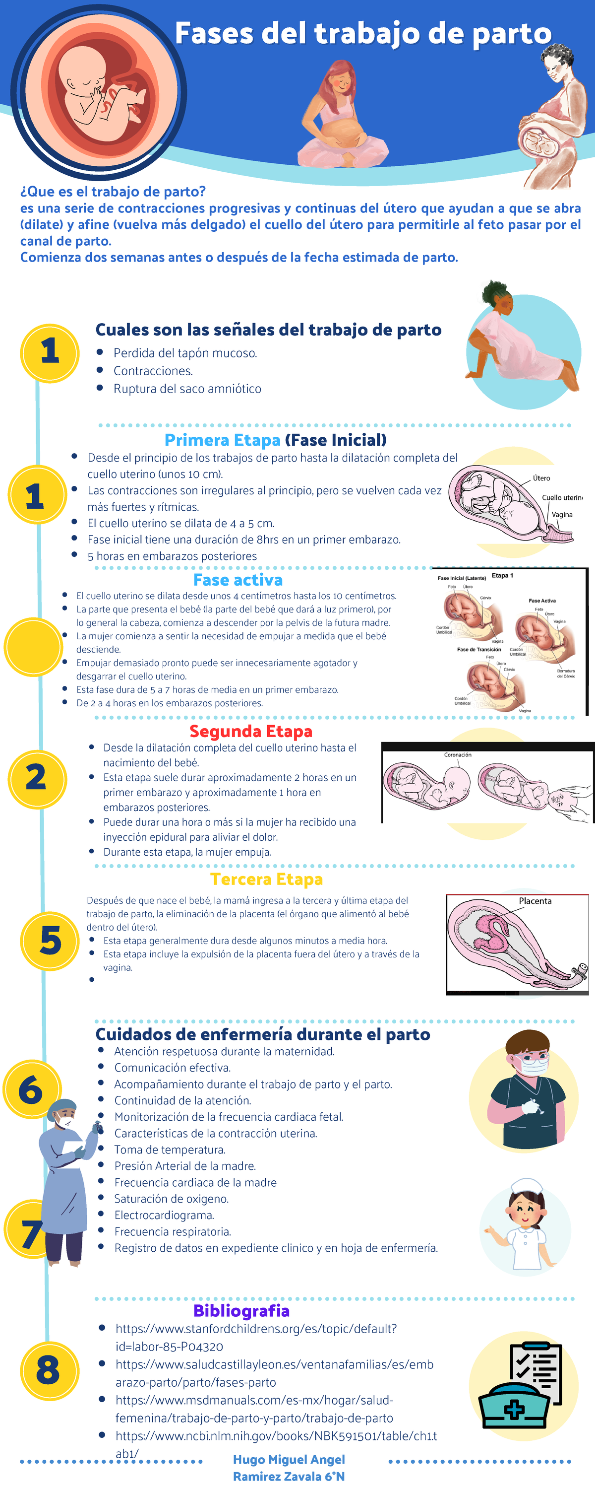 Info. Etapas del trabajo de parto - Fases del trabajo de partoFases del ...