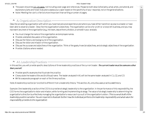 C200-Task2 - Organization and Leadership Evaluation Ahmed Zubair ...