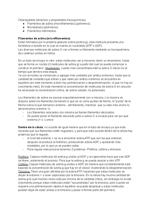 Estructura de la Membrana Alberts - Estructura de la Membrana Capítulo ...