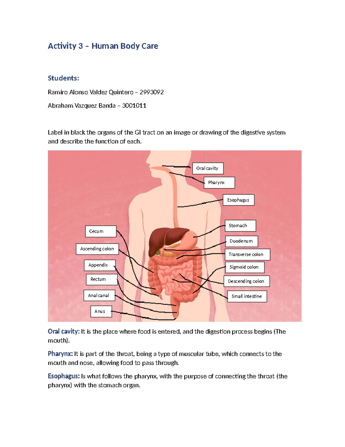 Activity 3 - Activity 3 – Human Body Care Students: Ramiro Alonso ...