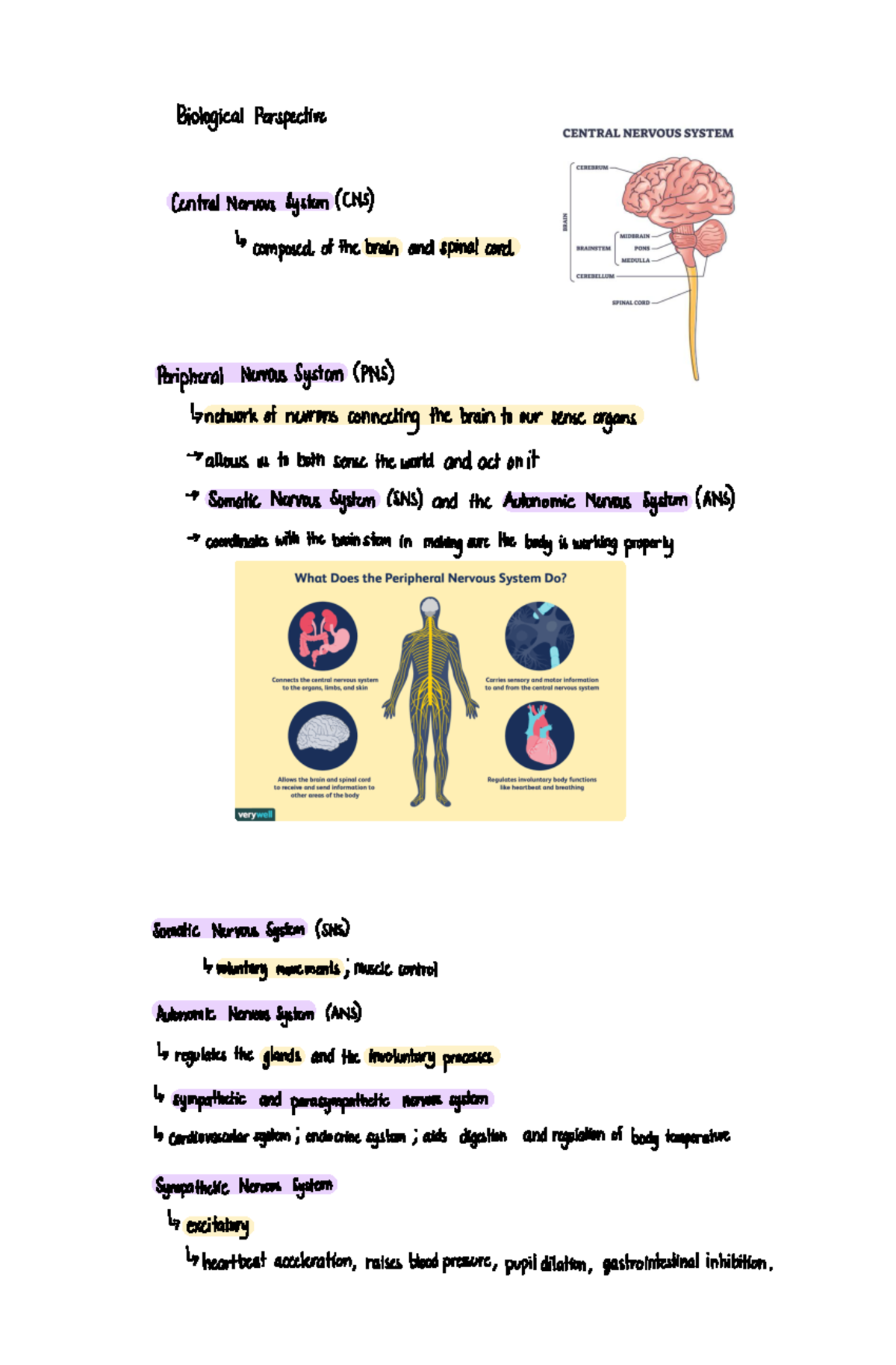 Biological Perspective on Psychopathology - Biological Perspective ...