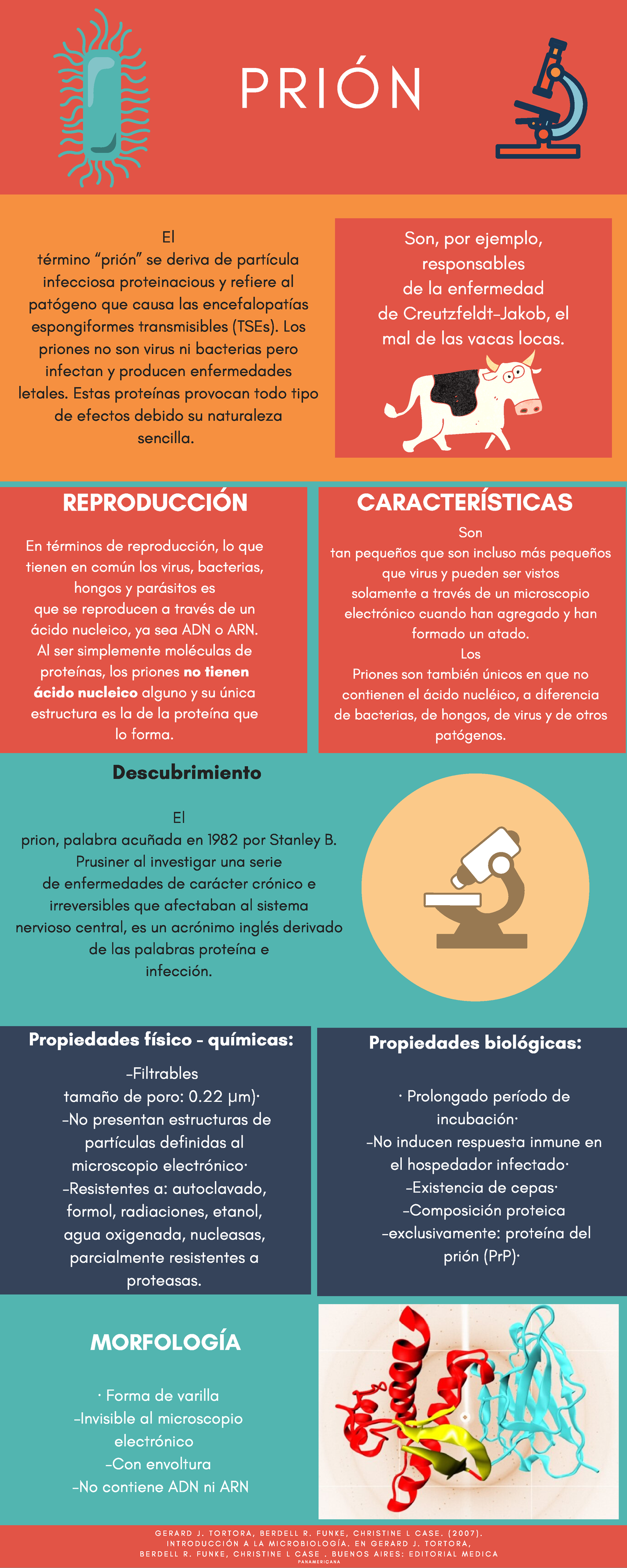 Prion EQ5 NUT 2B - ¿QUÉ ES UN PRIÓN?El término “prión” se deriva de ...
