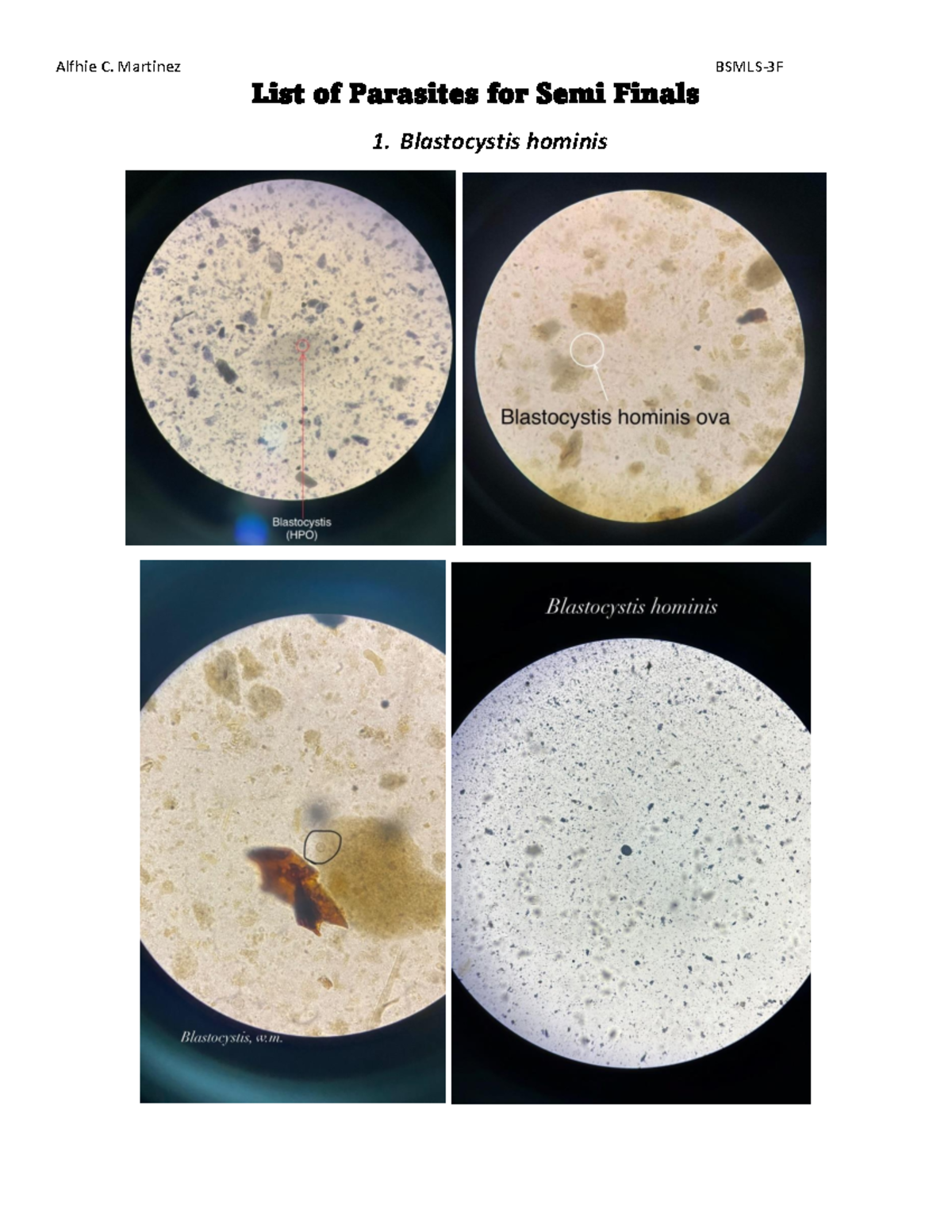 3. Semifinals - Parasitology - List of Parasites for Semi Finals 1 ...