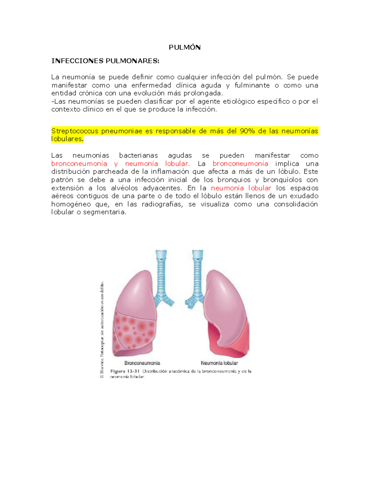 Exposiciones segundo corte Libro de robbins Pulmon - PULMÓN INFECCIONES ...