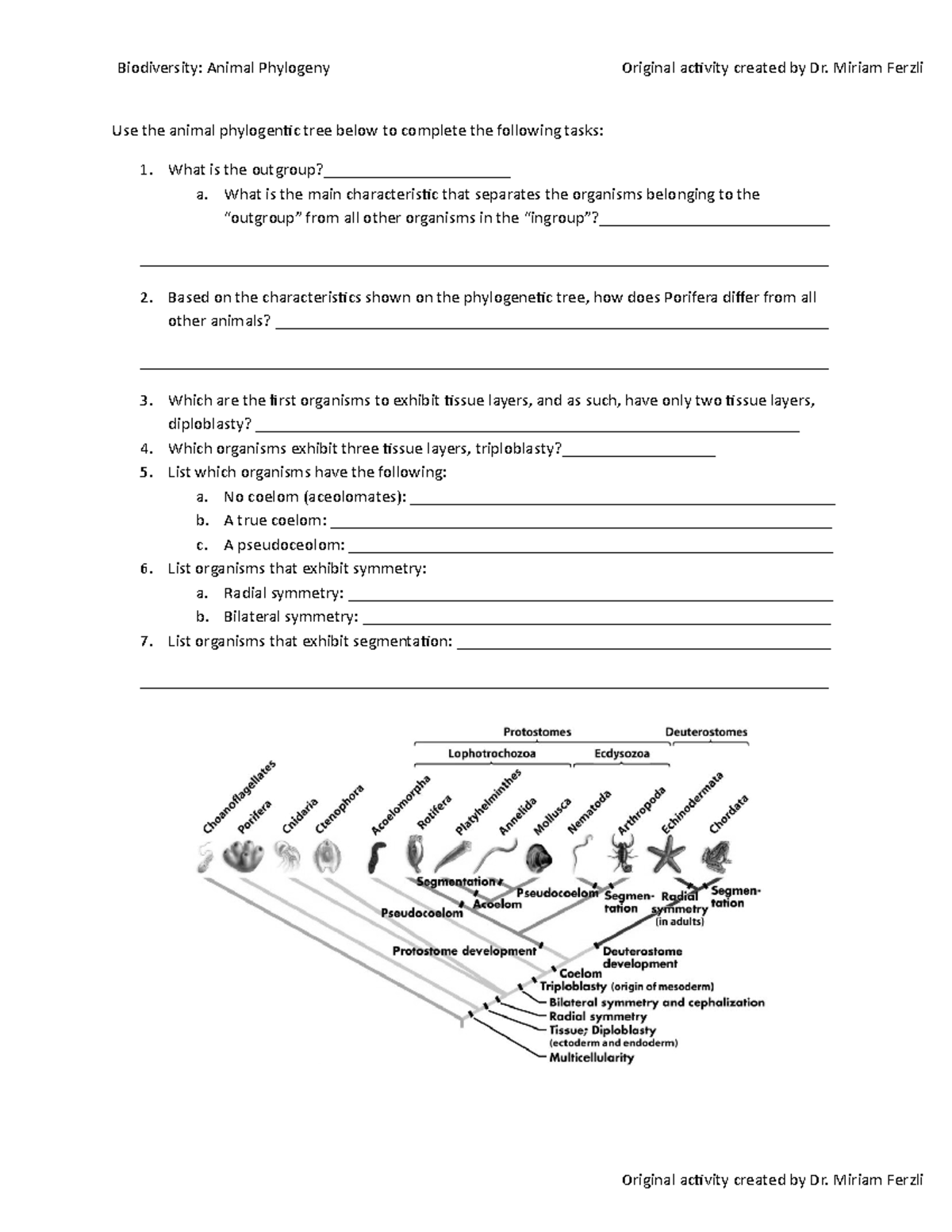 23-Biodiversity Activity phylogenetic Tree Animals - BIO 181 new - BIO ...