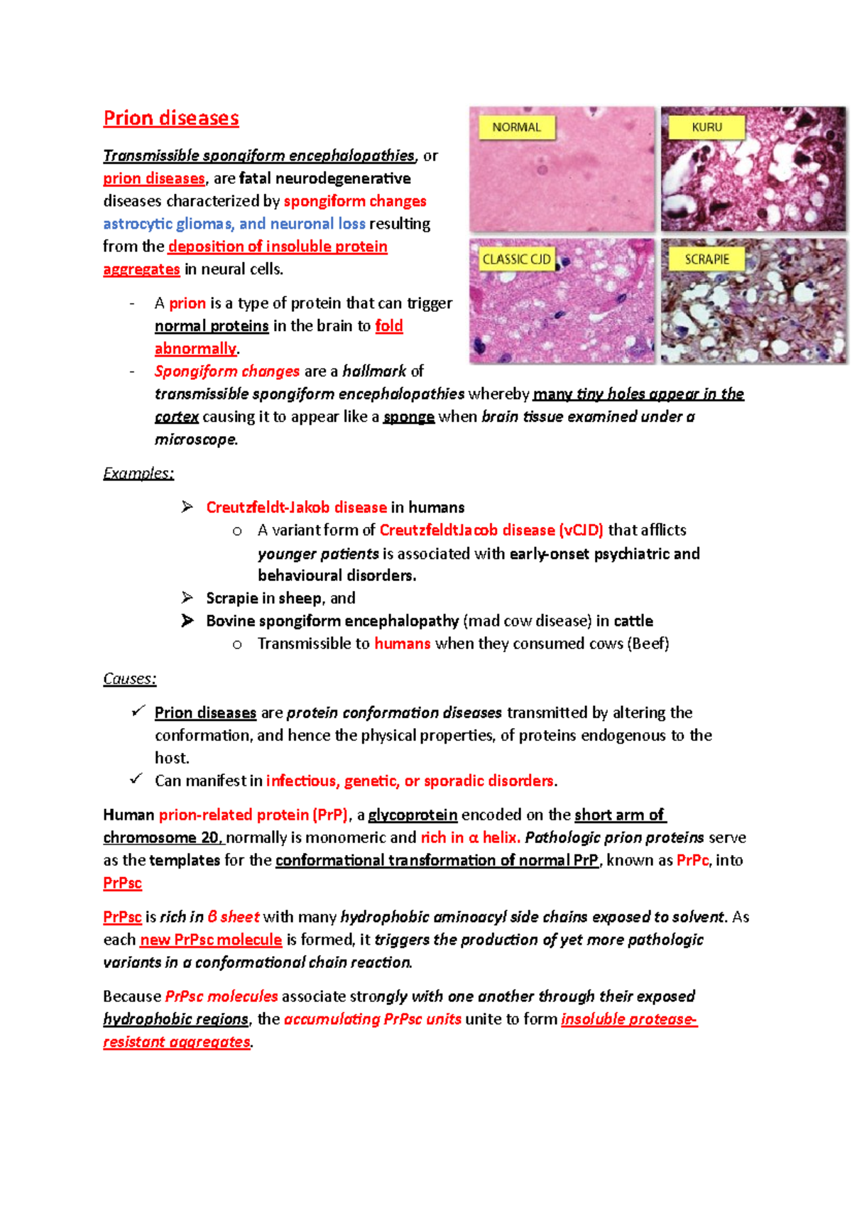 Life Science 1 - Prions - Prion diseases Transmissible spongiform ...