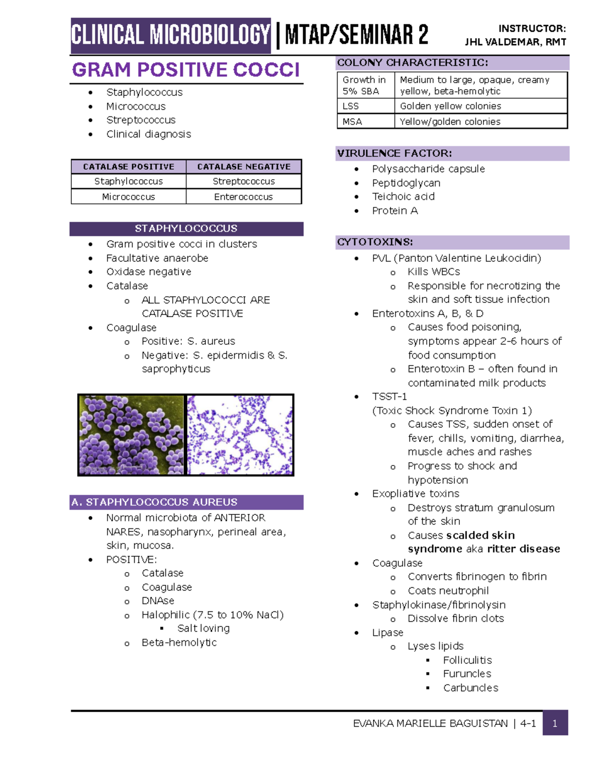 GRAM Positive Cocci - bacte - Clinical microbiology|MTAP/SEMINAR 2 JHL VALDEMAR, RMT GRAM ...