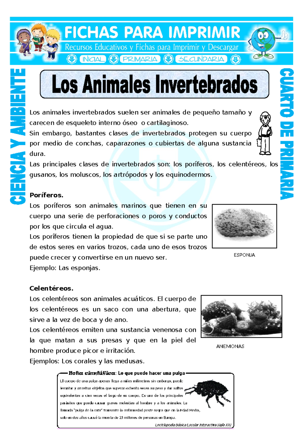 Ficha Los Animales Invertebrados para Cuarto de Primaria - Los animales ...