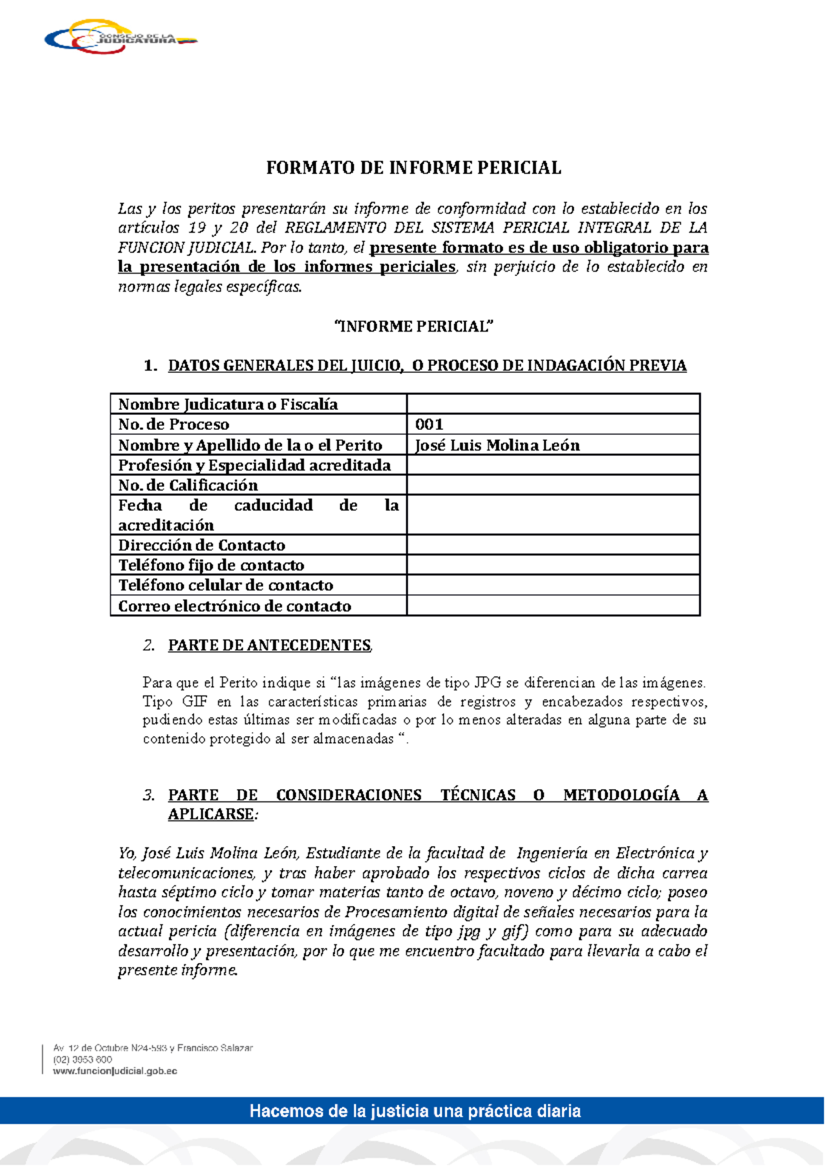 Formato DE Informe Pericial - FORMATO DE INFORME PERICIAL Las y los peritos presentarán su ...