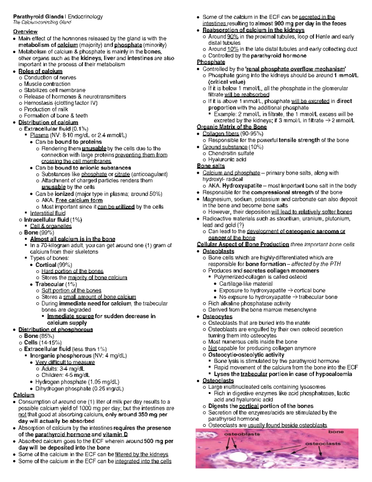 F - Parathyroid Gland - Trans - Bachelor of Science in Nursing - • • o ...