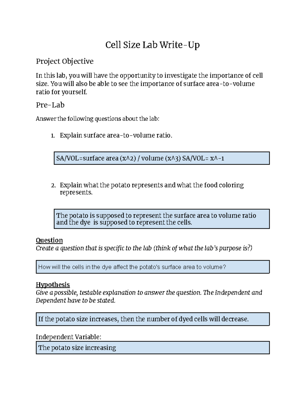 primavera 10B cell size write up 2024-2025 - Cell Size Lab Write-Up Project Objective In this ...