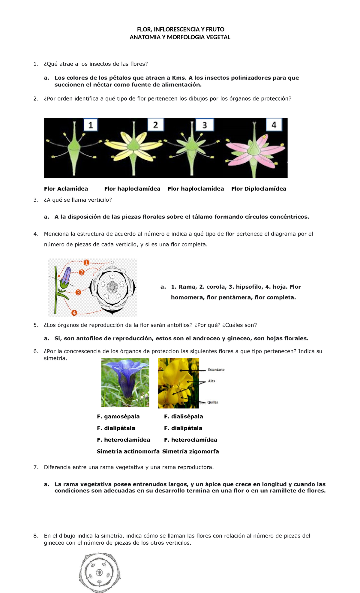 Respuestas Examen DE FLOR, inflor, fruto - FLOR, INFLORESCENCIA Y FRUTO ...