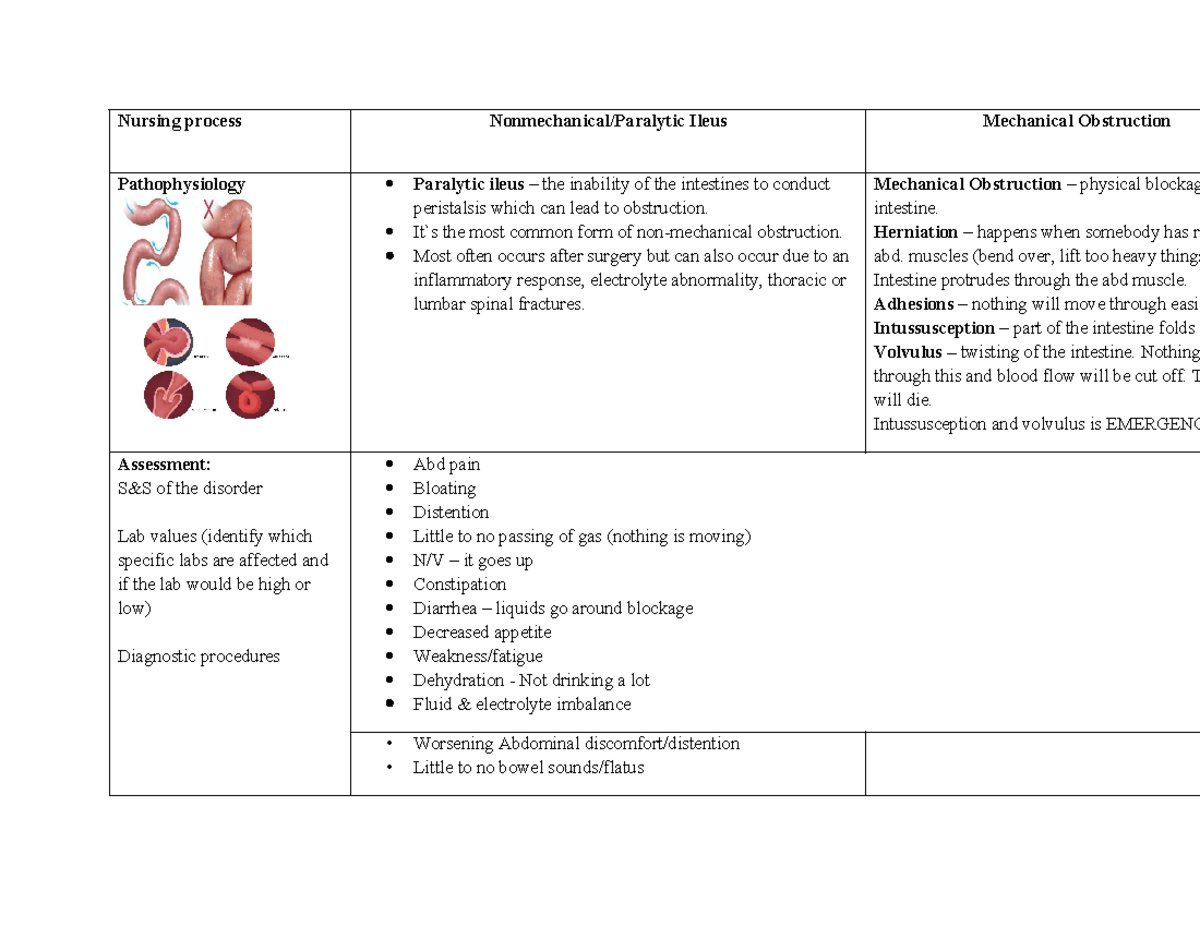 Bowel obstruction Care plan - Nursing process Nonmechanical/Paralytic ...