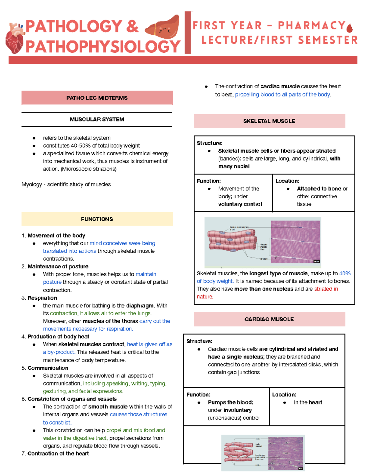 Midterms - ANPH - PATHO LEC MIDTERMS MUSCULAR SYSTEM refers to the ...