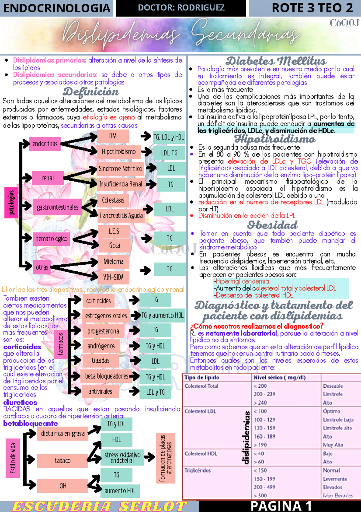T2 R3 dislipidemias secundarias - SERLOT C6Q0J patologias endocrinas ...